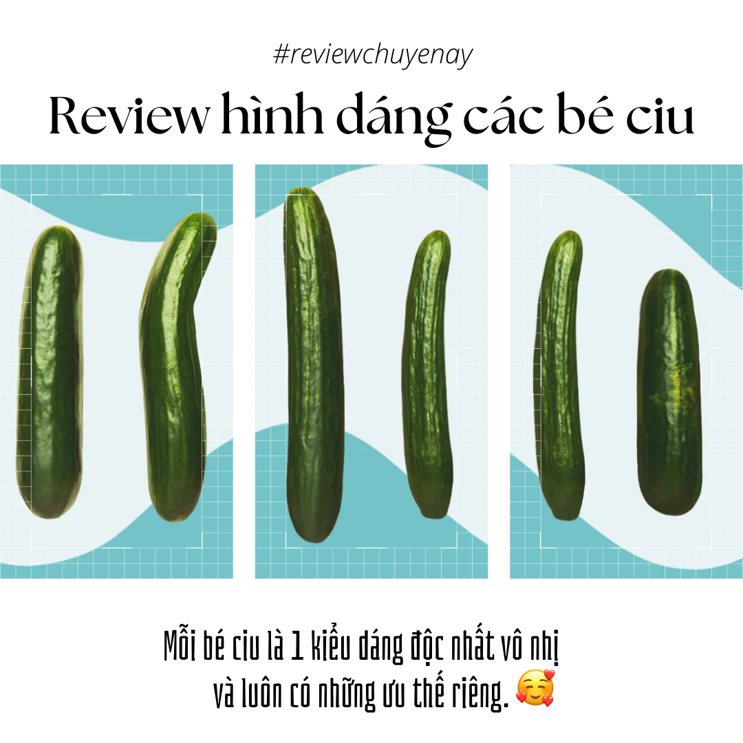 Review các kiểu hình dáng dương vật của nam giới - Review Chuyện Ấy