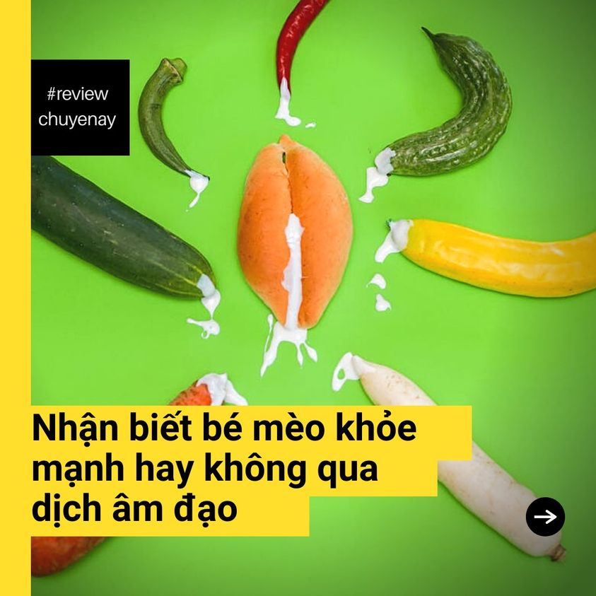 Nhận biết cô bé khỏe mạnh qua dịch âm đạo - Review Chuyện Ấy